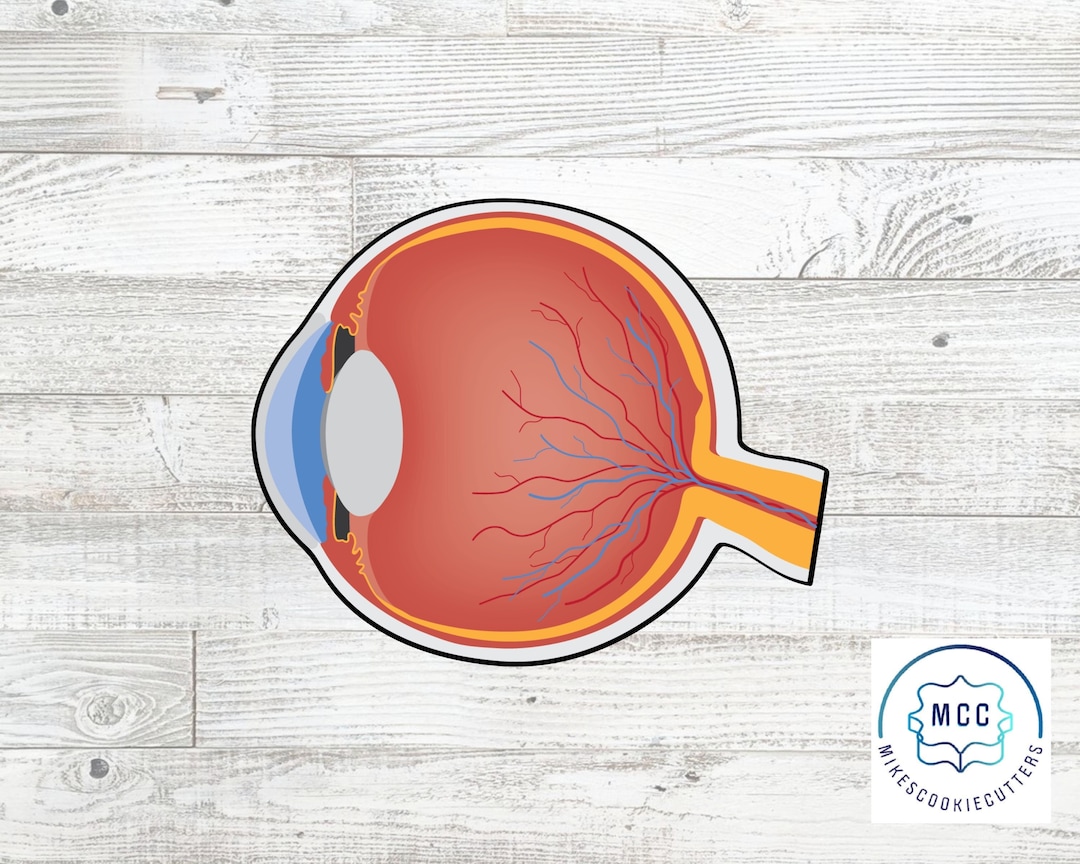 Eye Ball Eyeball Optometrist Eye Doctor Cookie Cutter - Etsy