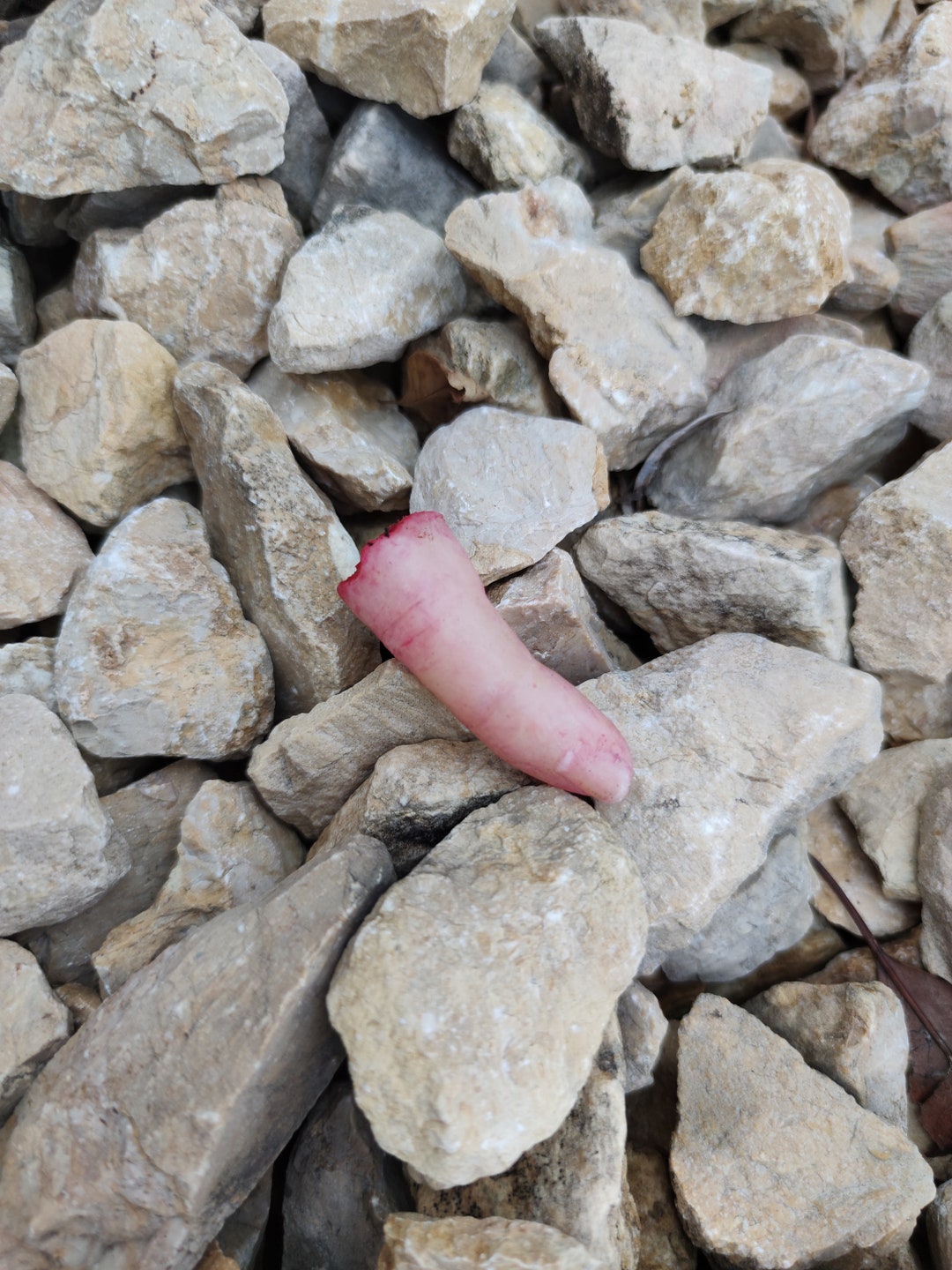 Realistic Severed Finger Silicone Prop With or Without Blood | for ...