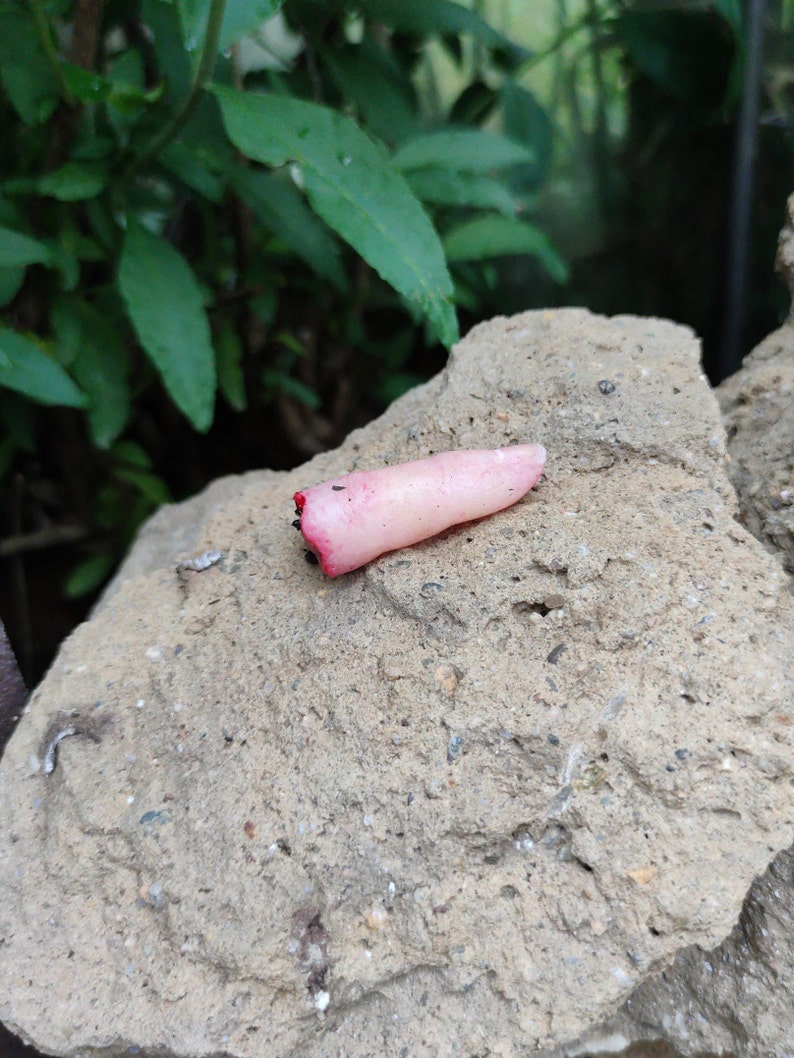 Realistic Severed Finger Silicone Prop With or Without Blood - Etsy