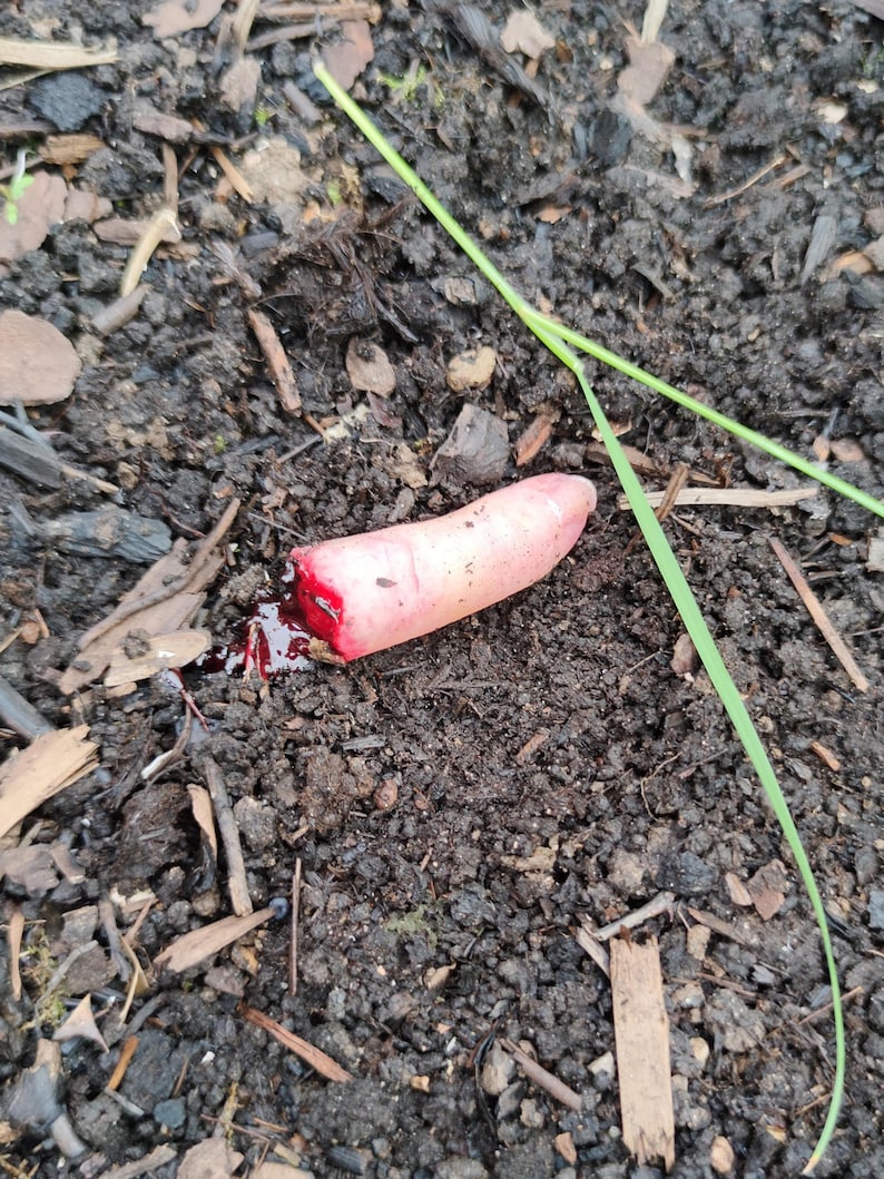 Realistic Severed Finger Silicone Prop With or Without Blood - Etsy