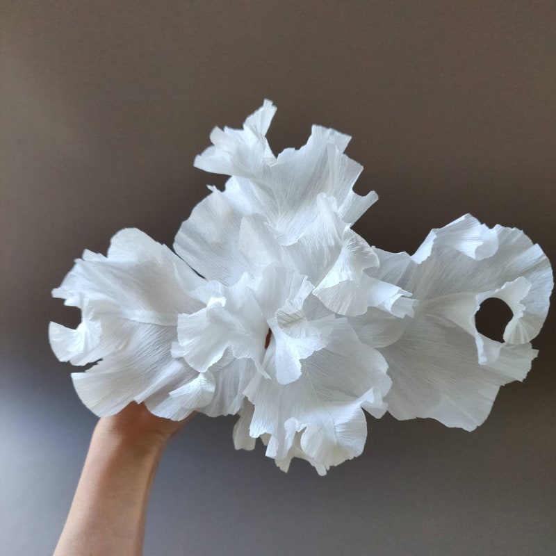 Crepe Paper Ruffle - Etsy