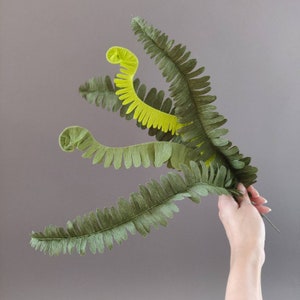 Crepe Paper Fern, Paper Fiddleheads, Set of 5, Paper Bouquet Filler ...