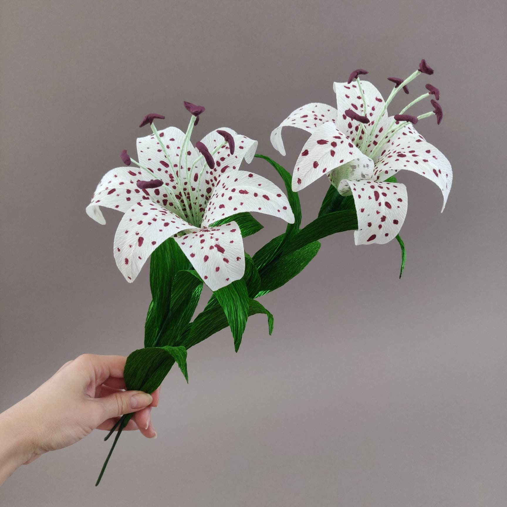 White Tiger Lily Flower