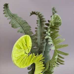 Crepe Paper Fern, Paper Fiddleheads, Set of 5, Paper Bouquet Filler ...