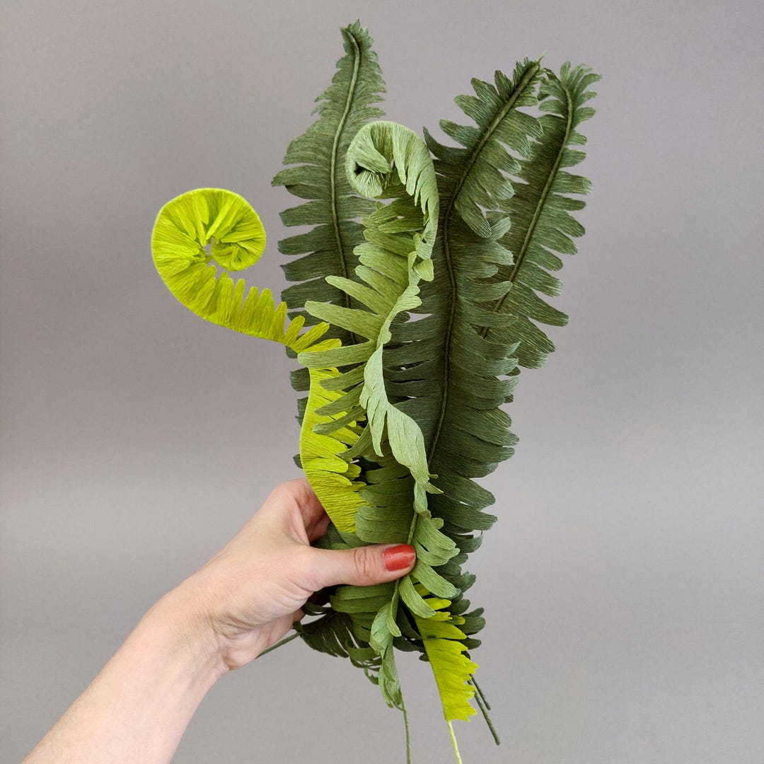 Crepe Paper Fern, Paper Fiddleheads, Set of 5, Paper Bouquet Filler ...