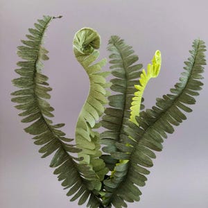 Crepe Paper Fern, Paper Fiddleheads, Set of 5, Paper Bouquet Filler ...