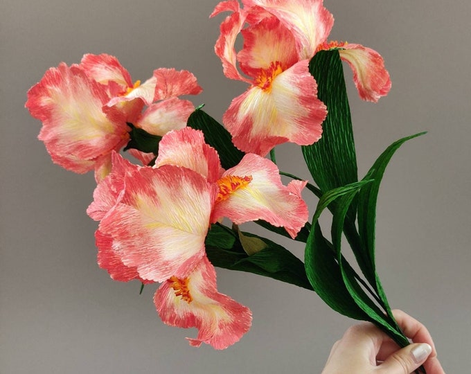 Crepe Paper Iris, Paper Flower, Iris Single Stem, Peach Sunset Tall ...