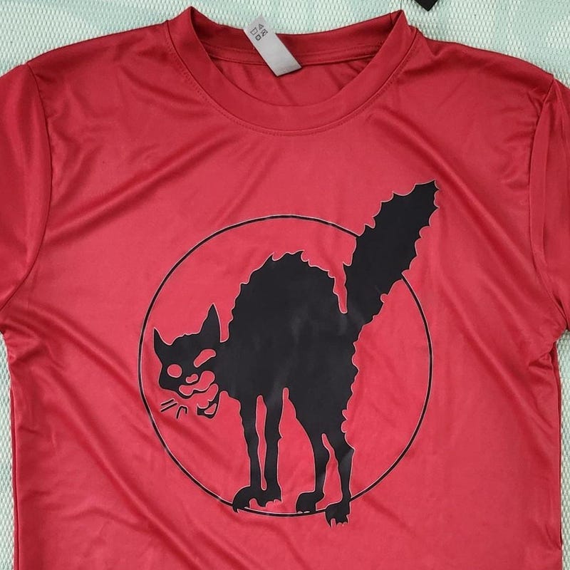 Anarchist Cat - Etsy