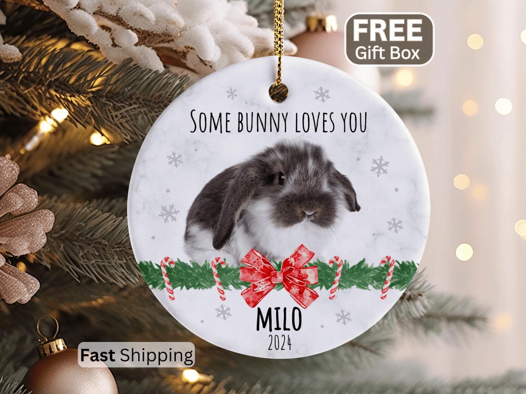 Personalized Bunny Ornament Rabbit Photo Pet Ornament Christmas Bunny ...