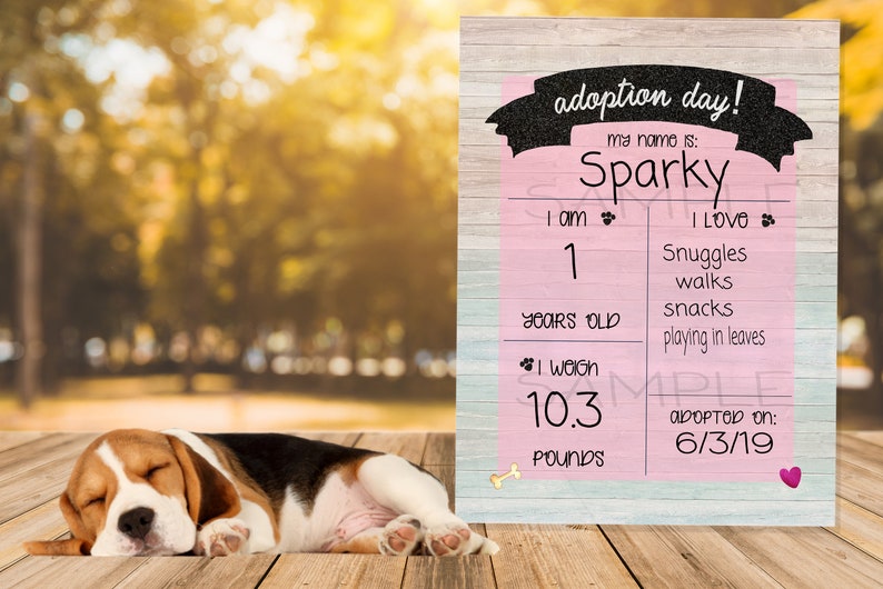 Dog Adoption Board, Dry Erase INSTANT DOWNLOAD Template PNG (Download ...