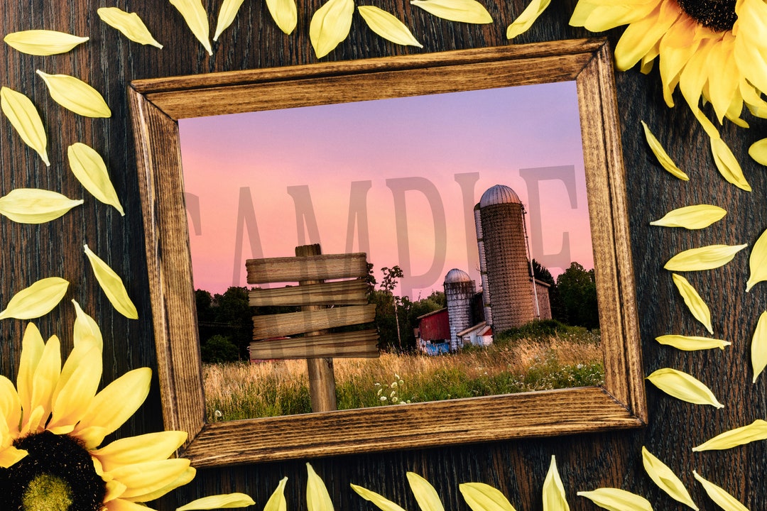 Farm Sunset Family Name Template for 4 SUBLIMATION DIGITAL DOWNLOAD ...