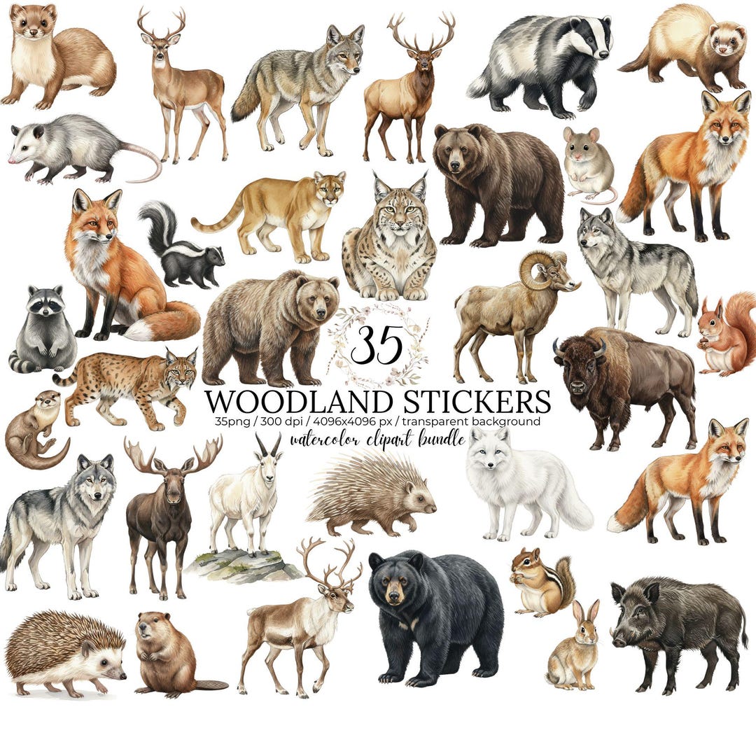 Woodland Digital Sticker Pack, Forest Animal Stickers, Watercolor ...