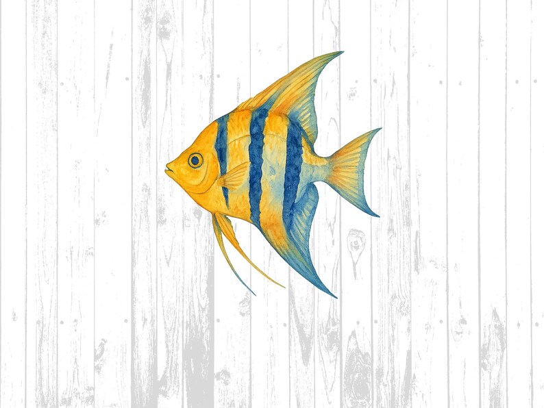 Sea Animals Clipart, Fish PNG, Angel Fish Illustration, Ocean Creature ...