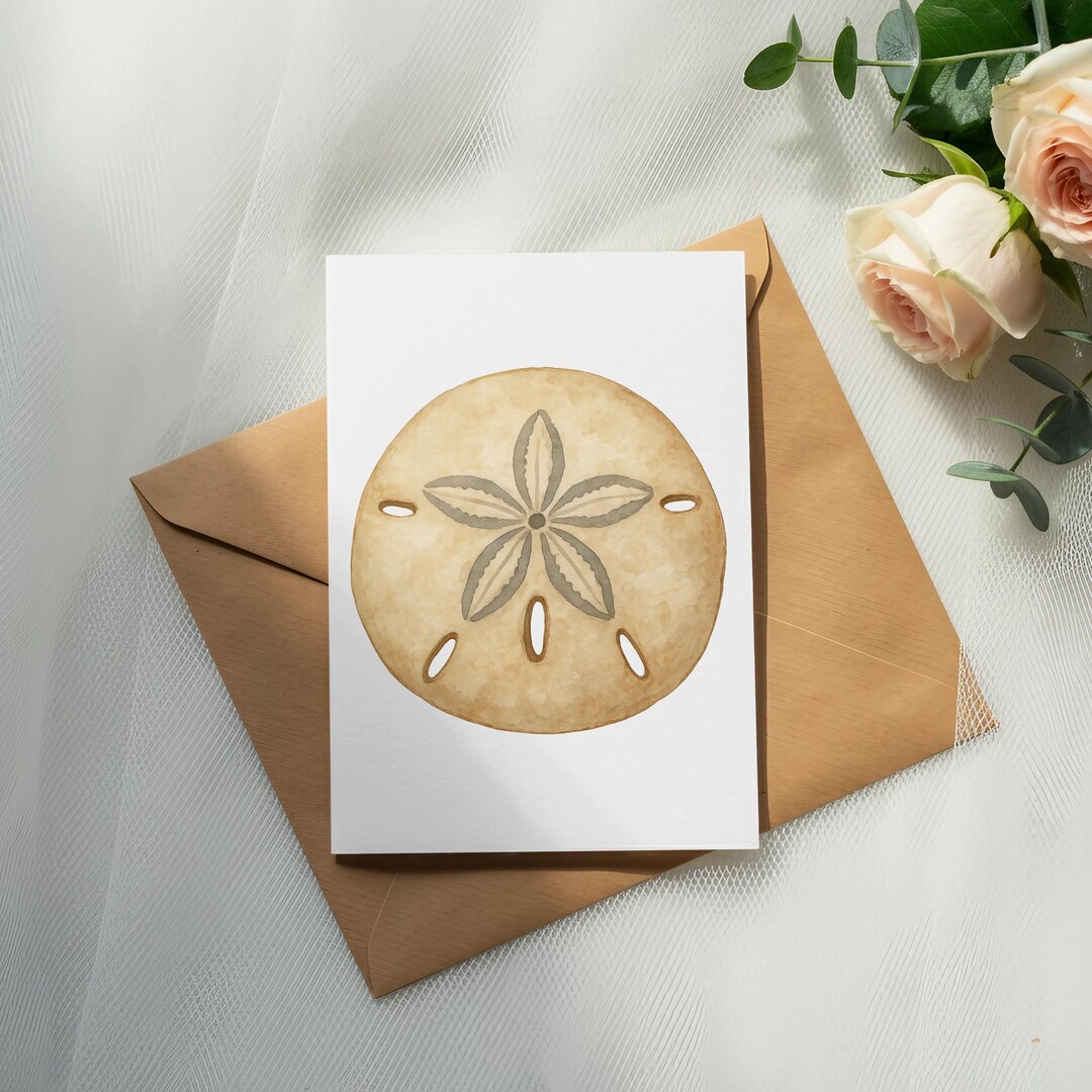 Sea Animals Clipart, Sand Dollar PNG, Beach Theme Graphics, Summer Clip ...