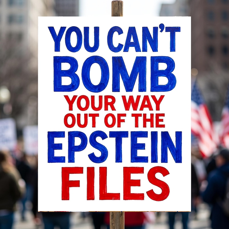 Epstein File Protest Signs - Etsy