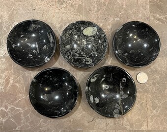 LARGE Black Orthoceras Ammonite Fossil Round Bowl 350 Million Years Old ...