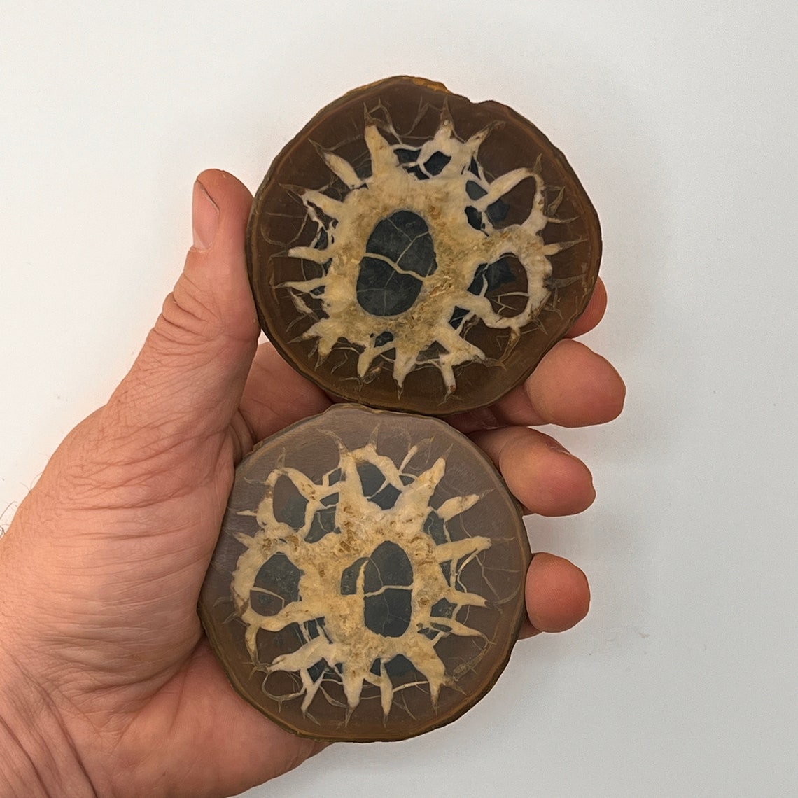 Large Cut & POLISHED 2 SEPTARIAN Nodules Morocco 0.5 - 1 Lb (matching ...