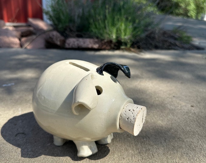 Ceramic Piggy Bank - Etsy