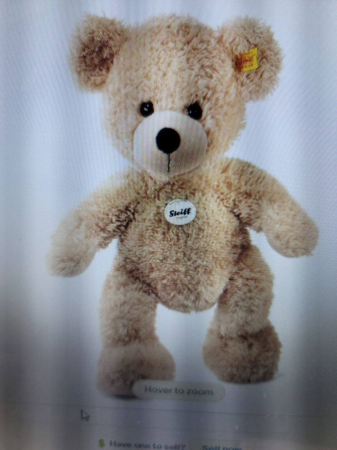 Smaller Steiff 'fynn' Teddy Bear Washable Cuddly - Etsy