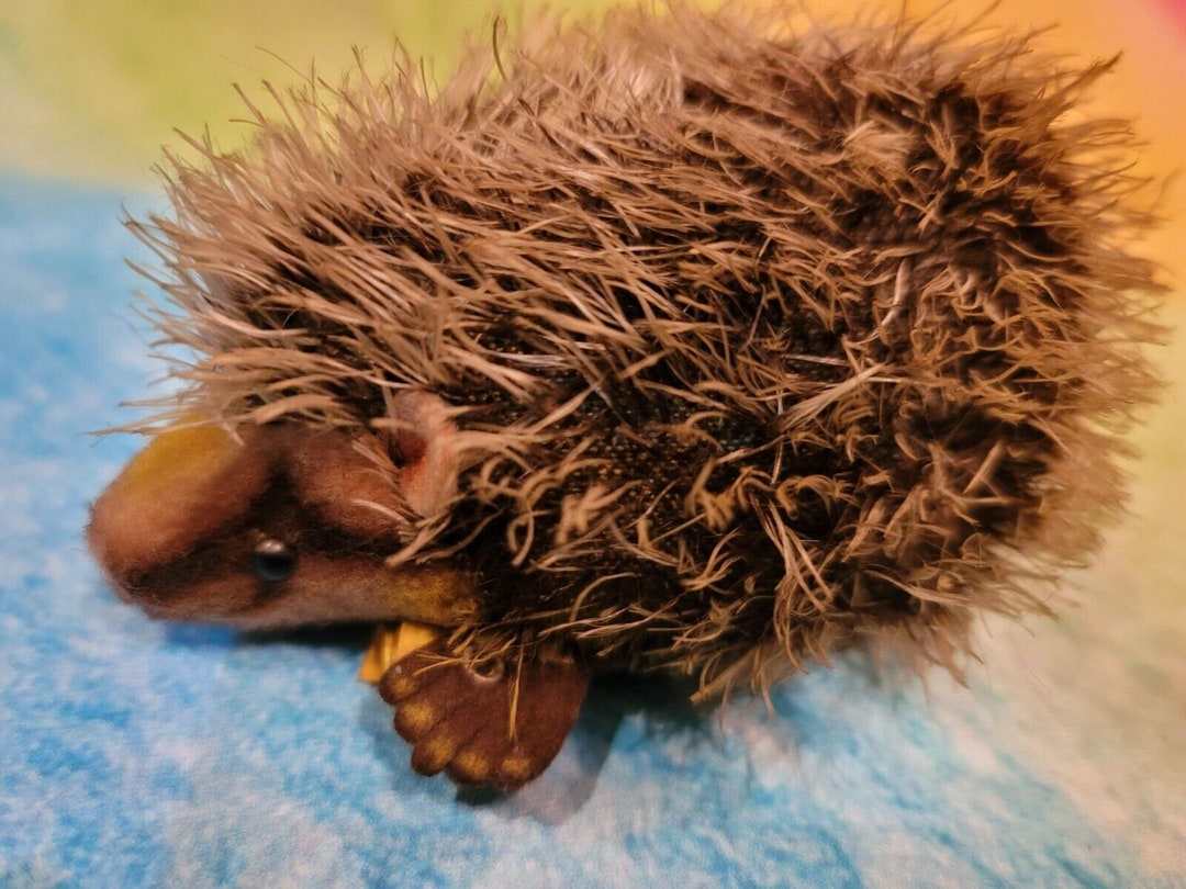 Steiff Joggi 5" Hedgehog - Etsy