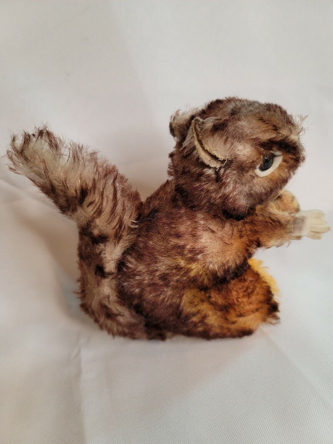 Steiff Perri 6" X 6" Squirrel - Etsy