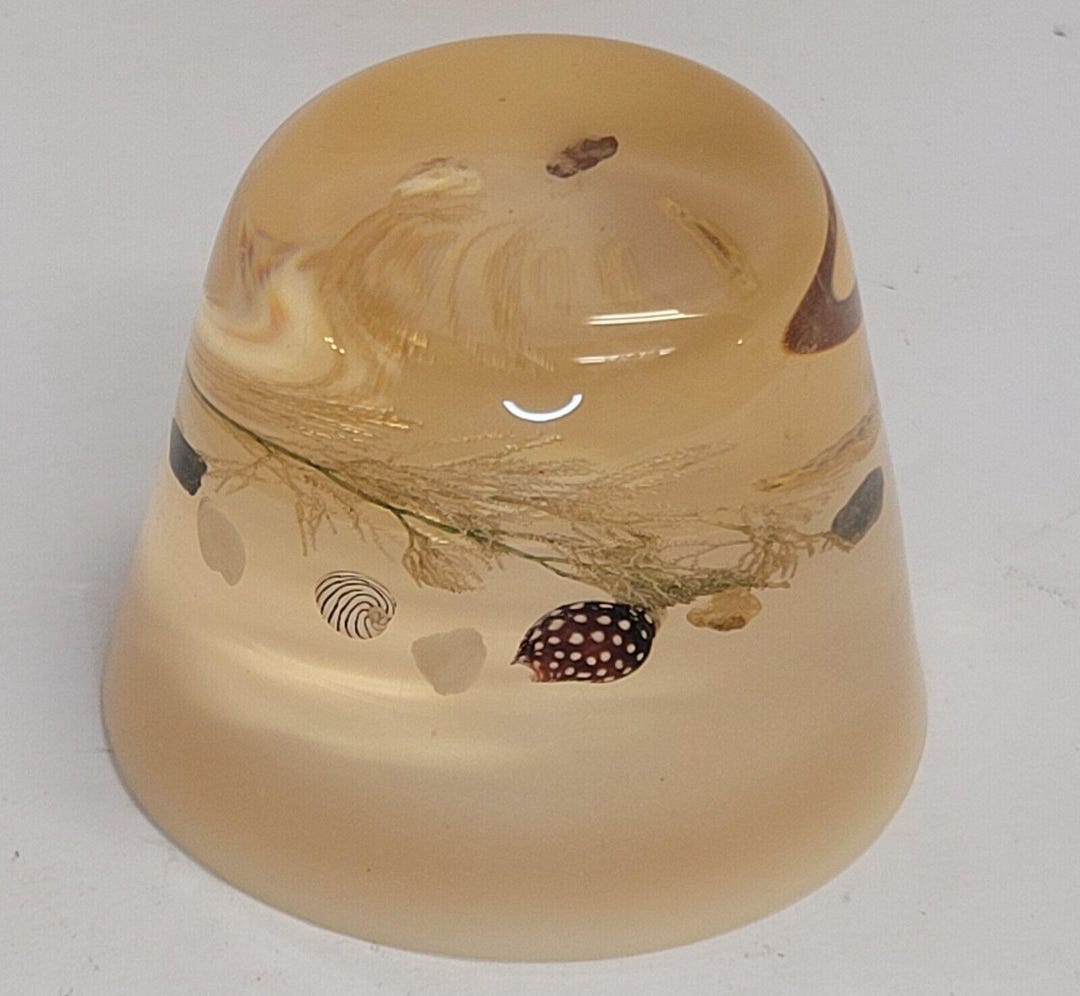 Vintage Art Glass Shells Beach Paperweight Clear Glass Lucite 1970s - Etsy