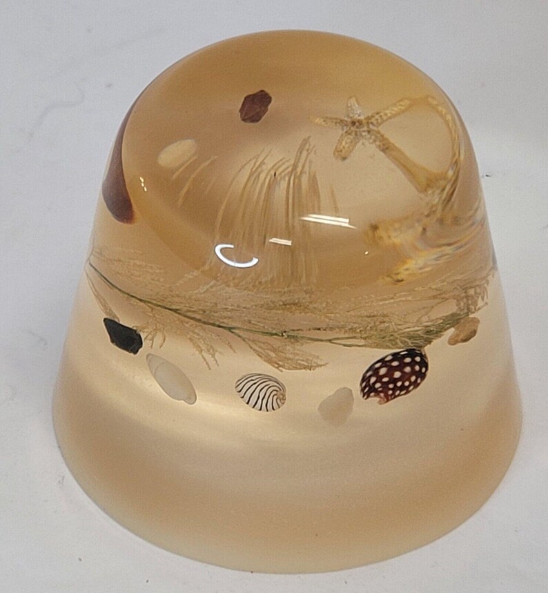 Vintage Art Glass Shells Beach Paperweight Clear Glass Lucite 1970s - Etsy