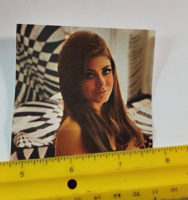 Vtg 1967 Playboy Playmate Puzzle AP110 HMH Publishing W/ Mini - Etsy