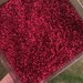 Scarlet/red Glitter/cherry/sparkle/glitters/tumblers/crafts/epoxy/resin ...