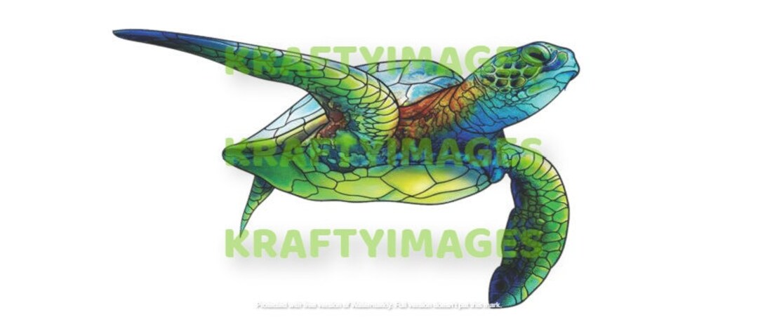 Tortuga marina / PNG / seaturle / océano / agua / colorido / mar / vida ...