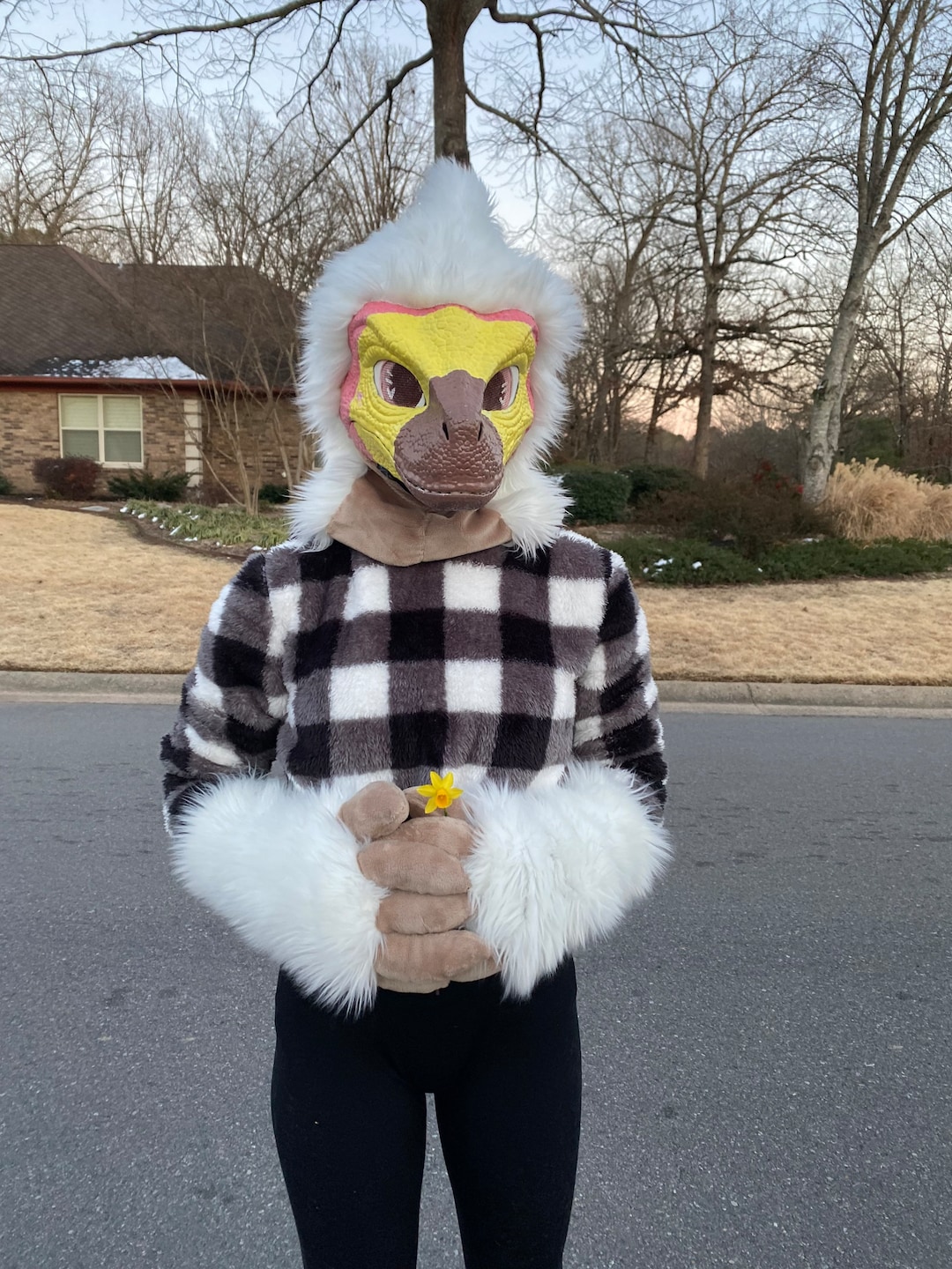 Fursuit Head Premade Raptor Mask Dinomask - Etsy