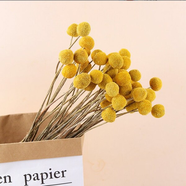 Flower Balls - Etsy