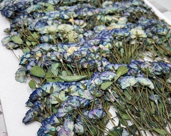 Dried Blue Rose - Etsy