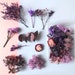 Pressed Flowers,blue White Dried Pressed ,lavender Preserved Pressed ...