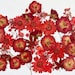 Pressed Flowers Rose Red Pressed Flowers100 PCS Set Pink - Etsy