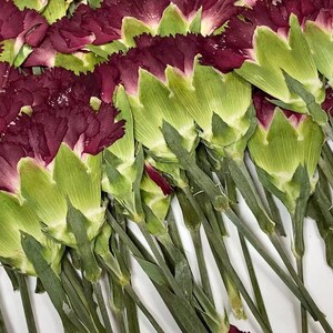 Wine Red Carnation Pressed Flowers Stems,6 Pcs/pack,pressed Dried ...