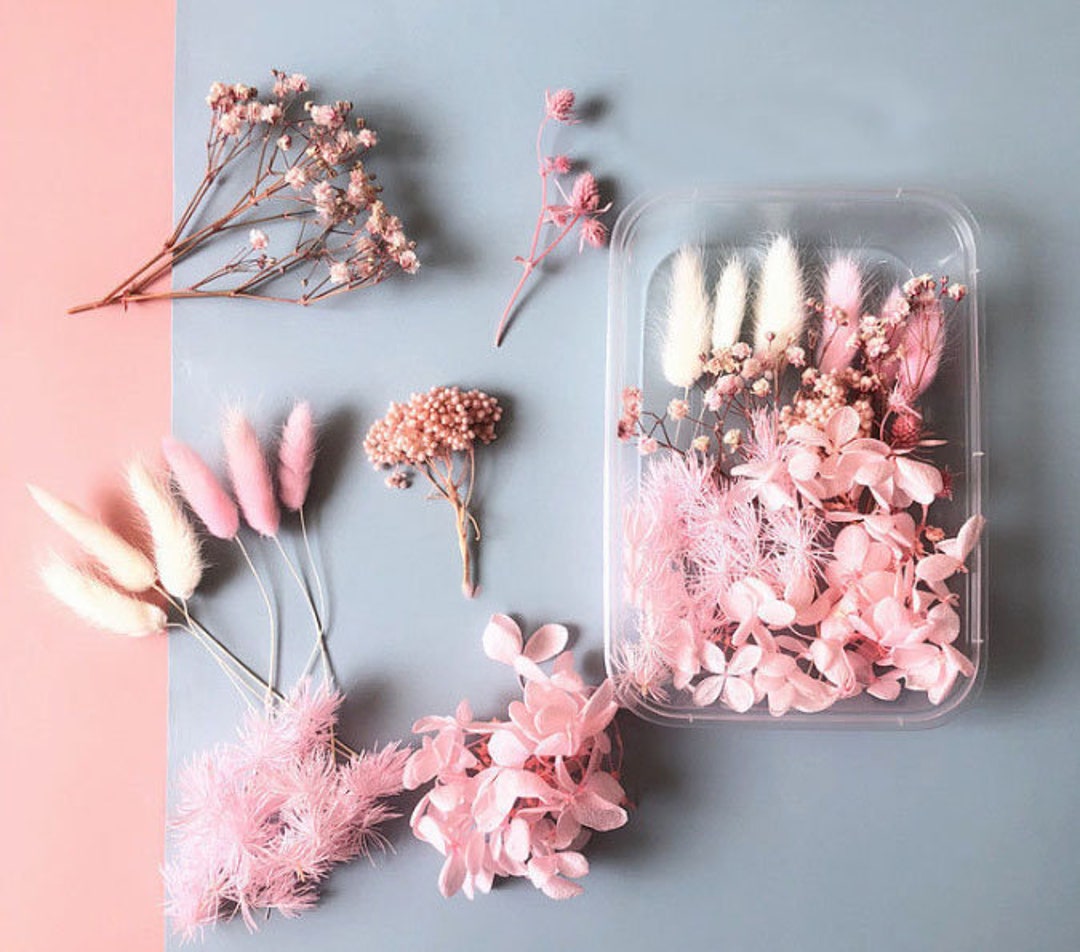 Pink Dried Flower Set: Natural Floral Decor, Resin Crafts - Etsy