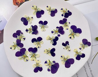 A Pack of 25-28 PCS Pressed Flowers,pressed Dry Flower,real Dried ...
