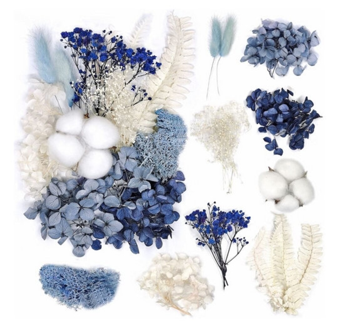 Dried Flower,blue White Dried Flower,1 Set Dry Flowers,dried Flowers ...