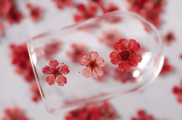 Pressed Flowers,red Pressed Flowers 20 Pcs/pack,small Red Dry Flowers ...