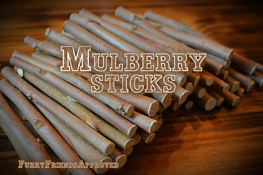 Mulberry Sticks, Treats for Small Pets, Chinchilla, Rabbit, Hamster ...