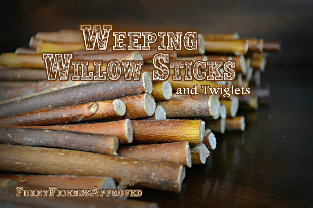 Weeping Willow Sticks, Treats for Small Pets, Twiglets, Sticks ...