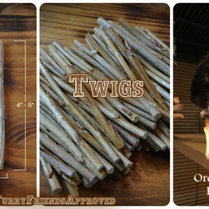 Poplar Sticks, Treats for Small Pets, Twiglets, Twigs, Sticks ...
