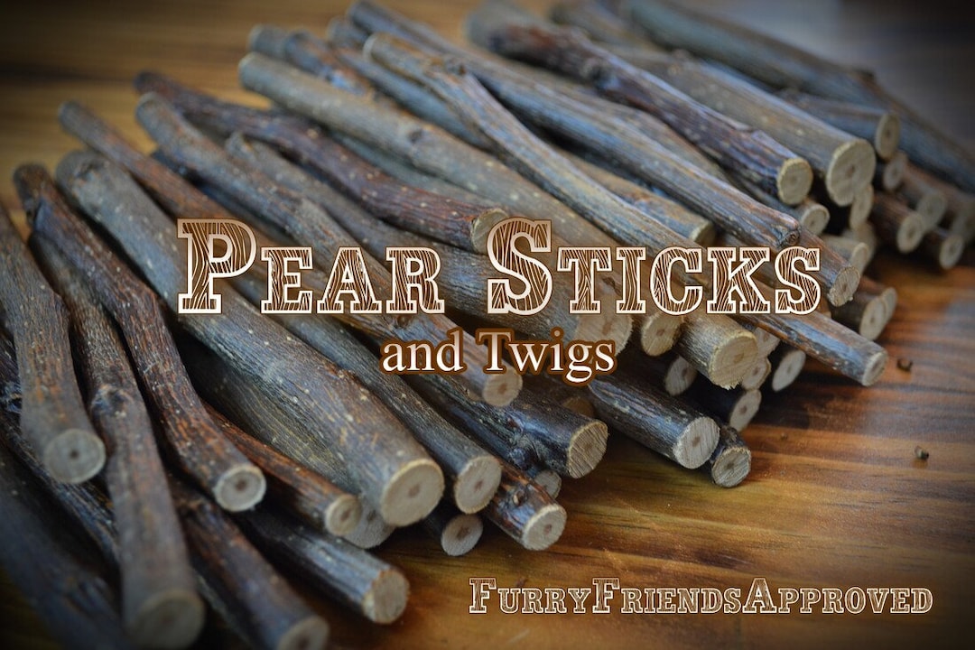 Pear Sticks, Pear Twigs, Pear Chew Chunks, Treats for Small Pets ...