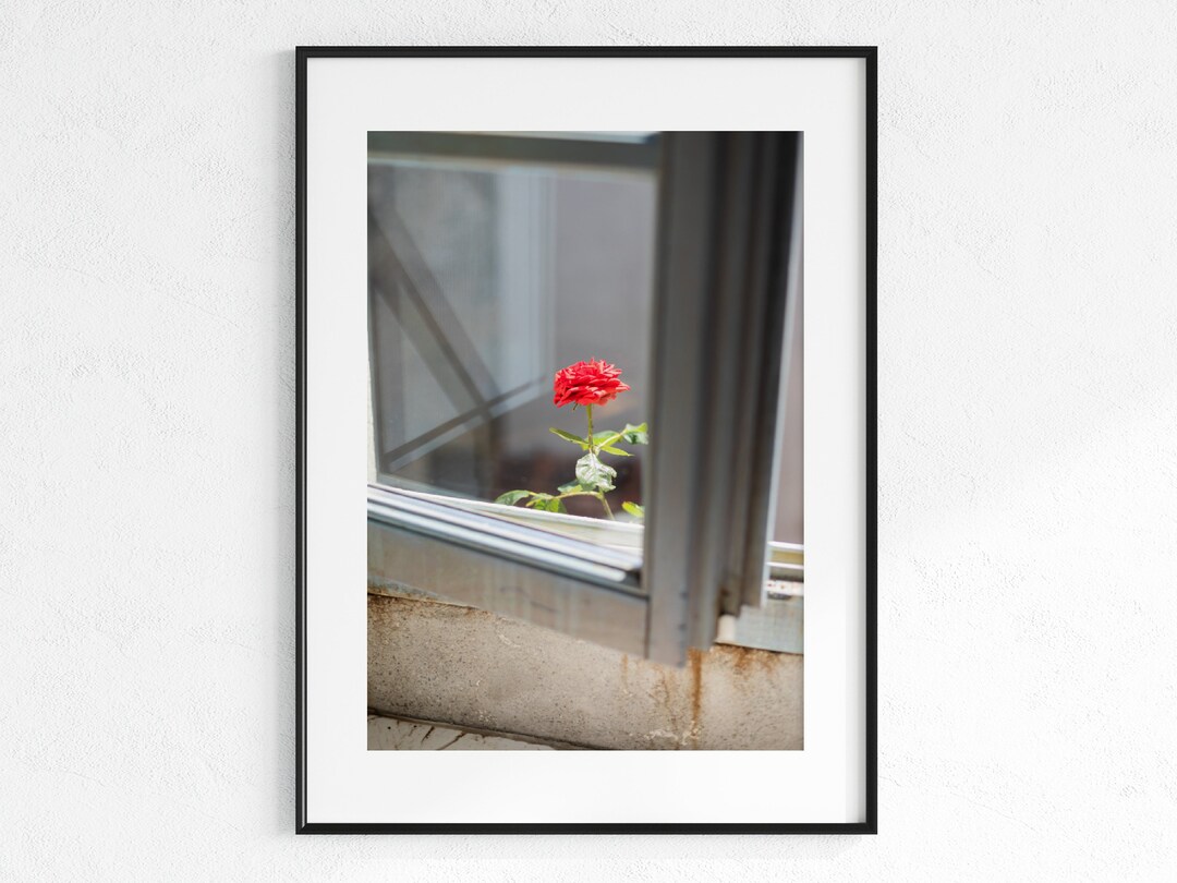 Rose Window | Photo Print | Travel Photography | Travel Art | Wall ...
