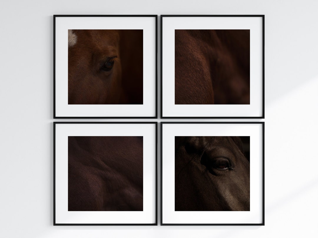 Horse Quad Collage | Photo Print | Equine Photography | Wall Decor ...
