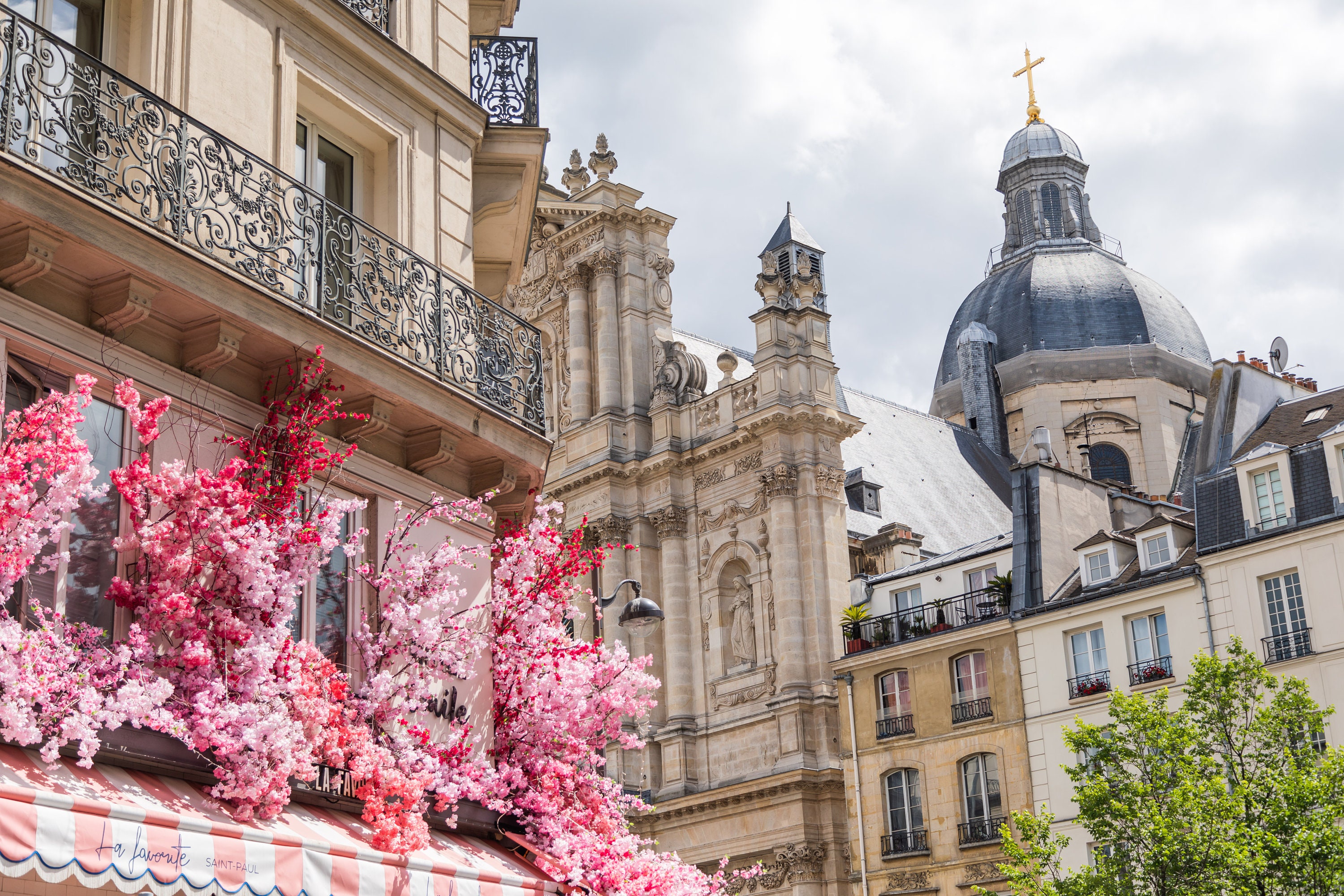 Blooms at Rue Mahler LANDSCAPE | Photo Print | Travel Photography ...