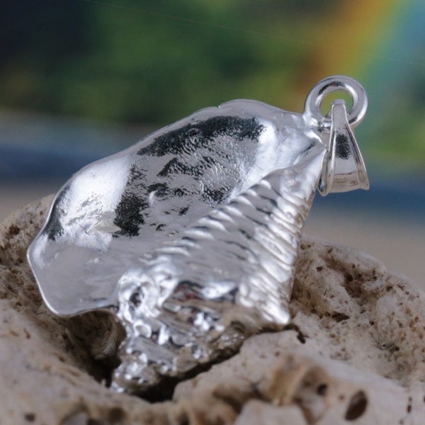 Conch Seashell - Etsy