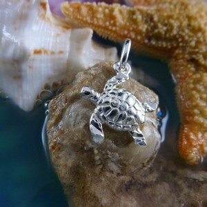 Silver Sea Turtle Pendant, 3/4" Long With Bail .925 Sterling Diamond ...