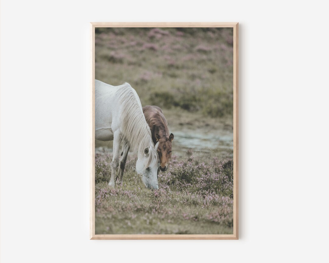 Horse Poster A4, Poster Set, Baby Room, Horse Picture, Horse Love ...
